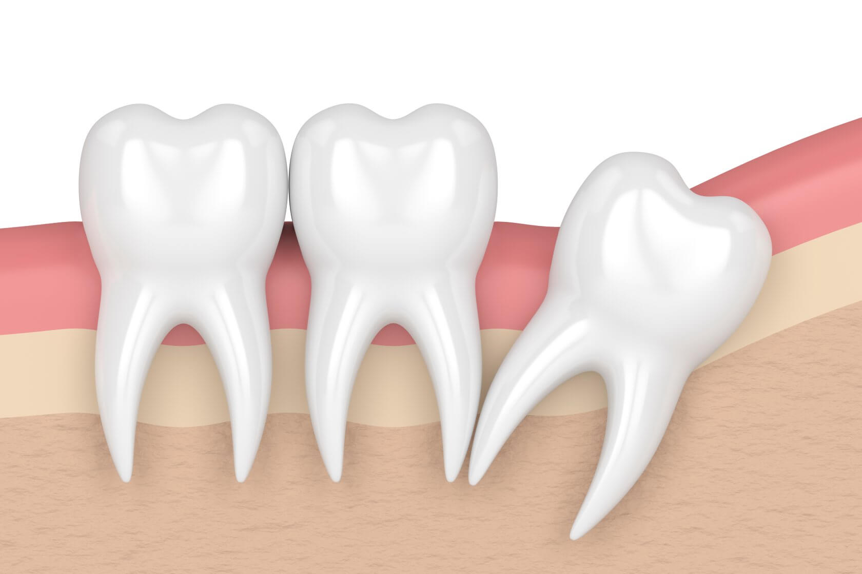 Services - Leila North Dental